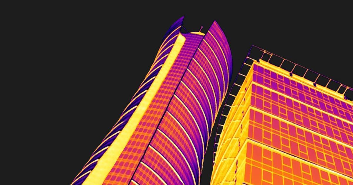 Sense Software | Portfolio | Bloomnet Interactive Agency